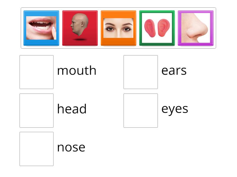 P1 Unit 4 - Body Parts - Matching Activity (ESL) - Match up