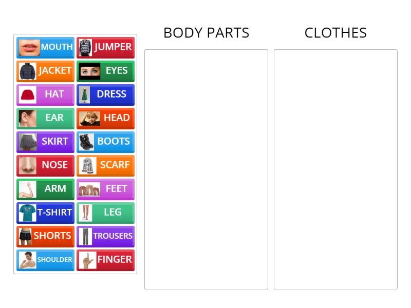 Clothes and body parts - Categorize