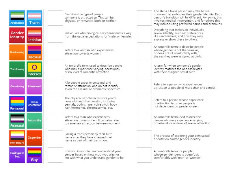 Viva LGBTQ+ Terminology Matching - Match up