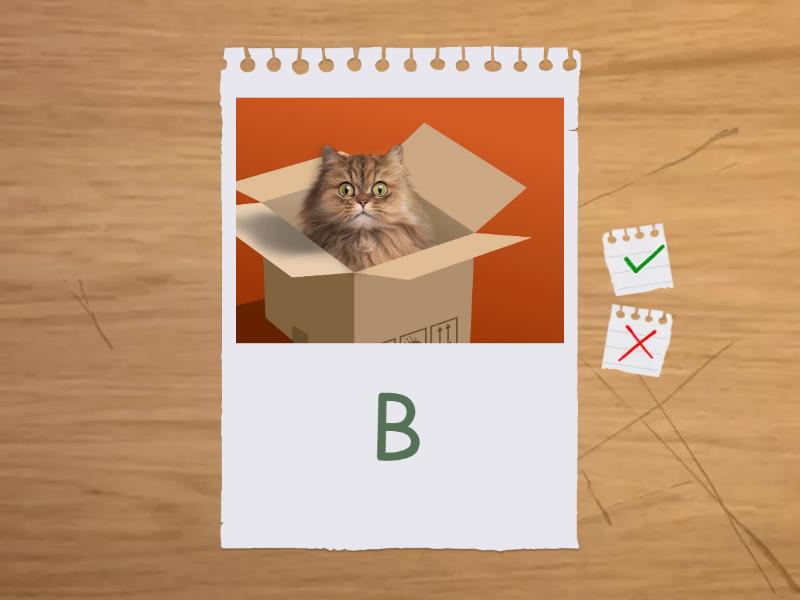 Prepositions of place 3d grade - Flash cards
