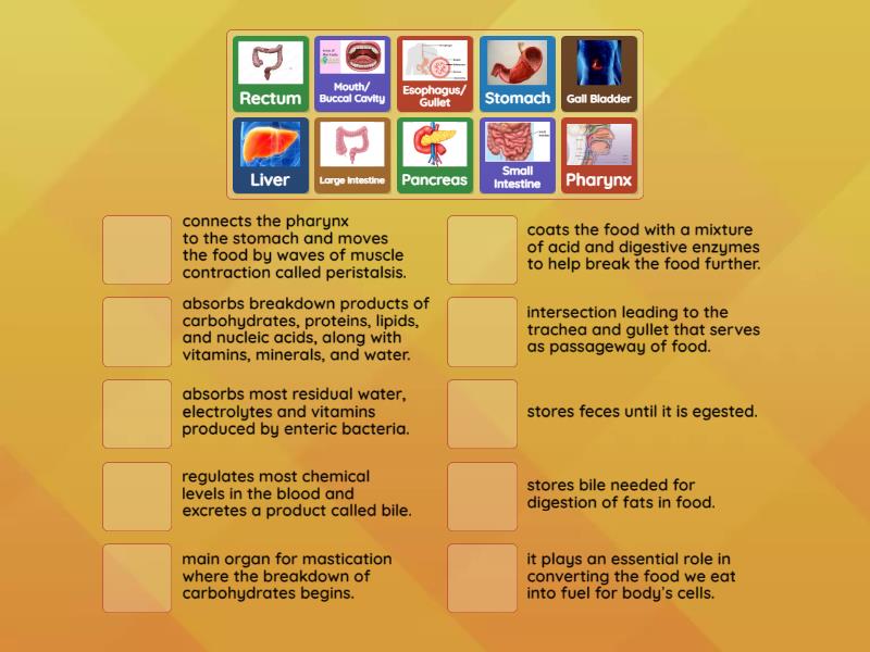 Find my match - Match up