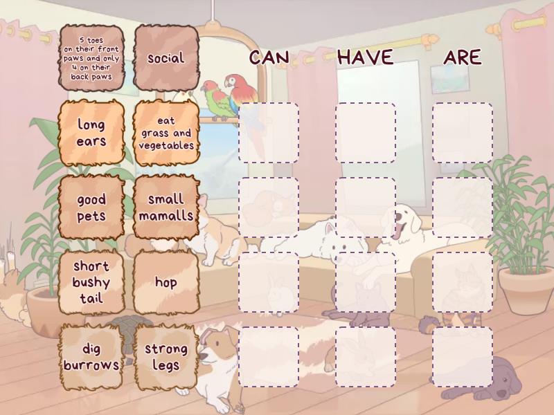 Can -Have-Are Chart Rabbits - Group sort