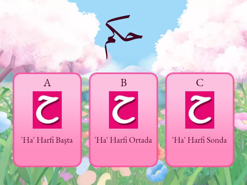'Ha' Harfi Başta ,Ortada ve Sonda Etkinliği - Cuestionario