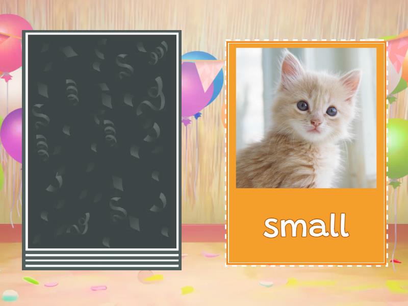 PU ss unit 5 - Random cards