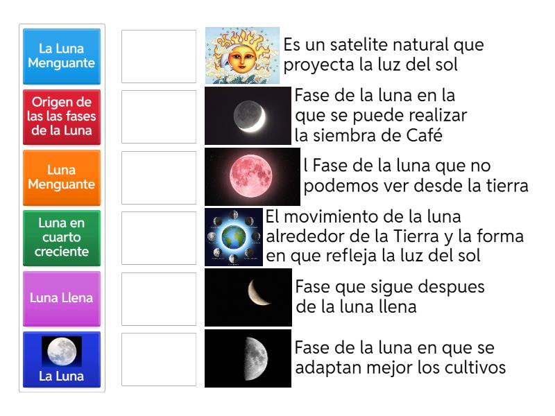 La Luna y sus fases - Une las parejas