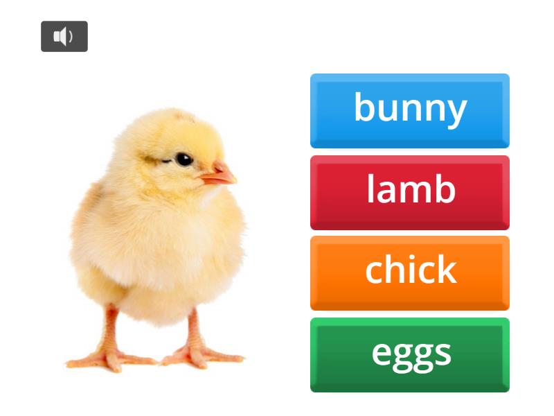 Identify Easter Bunny Vocabulary - Quiz