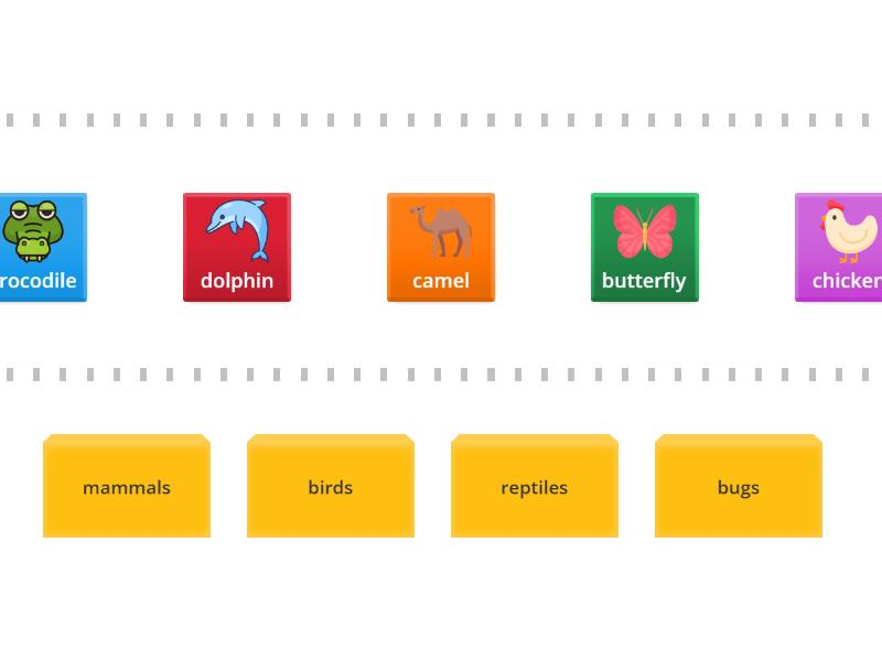 Animal categories - Speed sorting