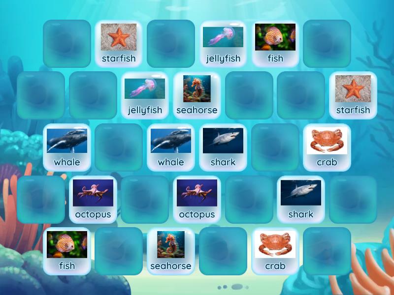 Memory game - sea animals - MEIE - Matching pairs