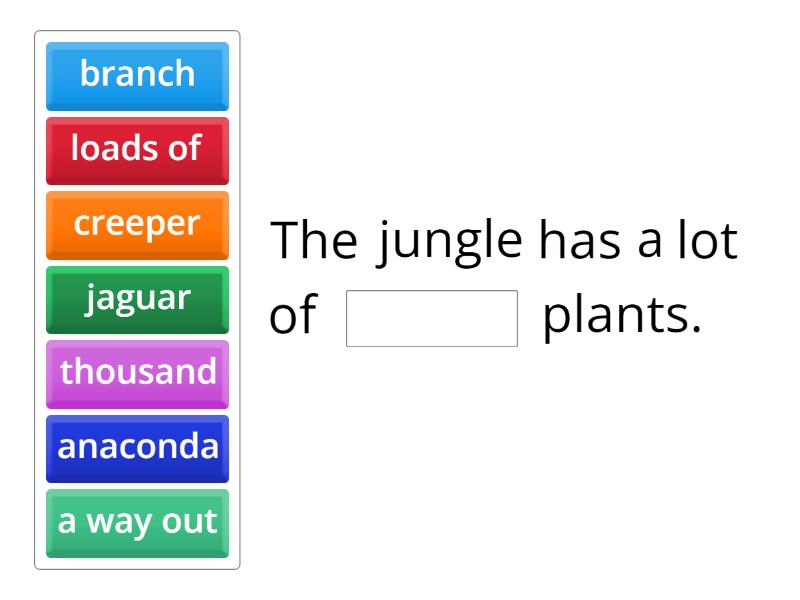 Rainforest Vocabulary - Complete the sentence