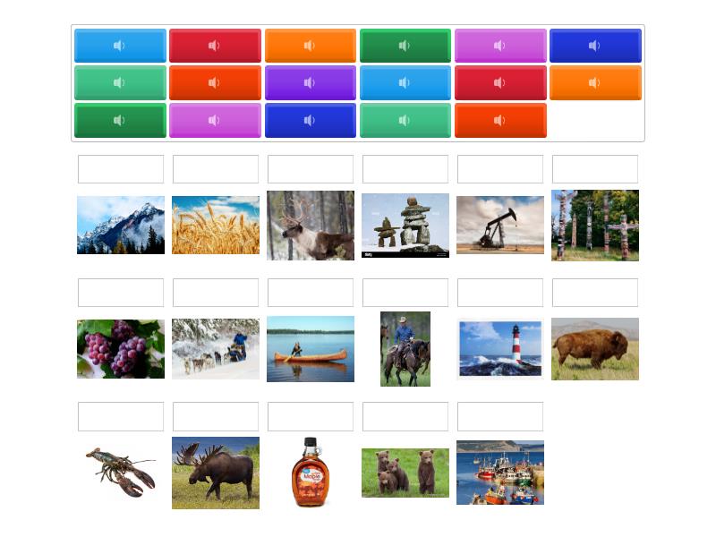 Canadian Symbols Vocab - Match up
