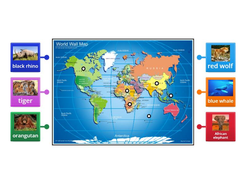P6 Eng (the world's endangered animals) - Labelled diagram