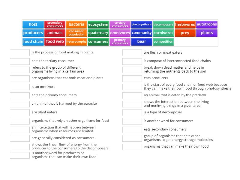 Food Chain and Food Web Vocabulary Recall - Match up