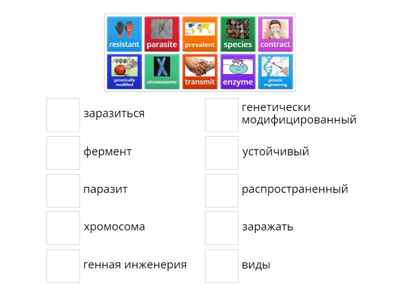 GATEWAY B2 PLUS Unit 4 Vocabulary - Match up
