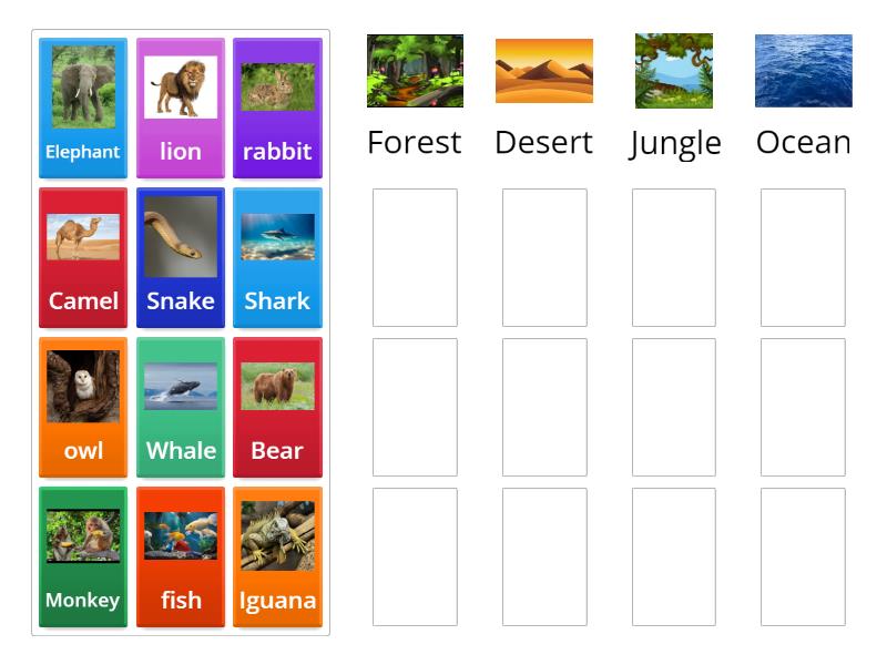 Animals habitats - Group sort