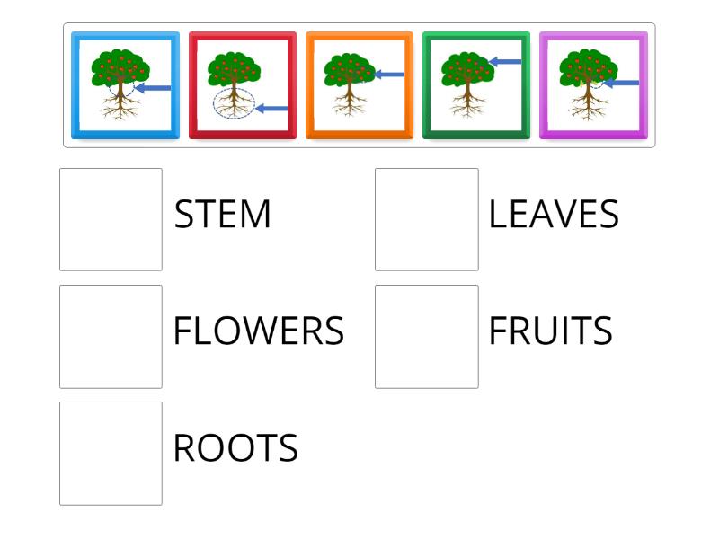 Activating Prior Knowledge - Match up