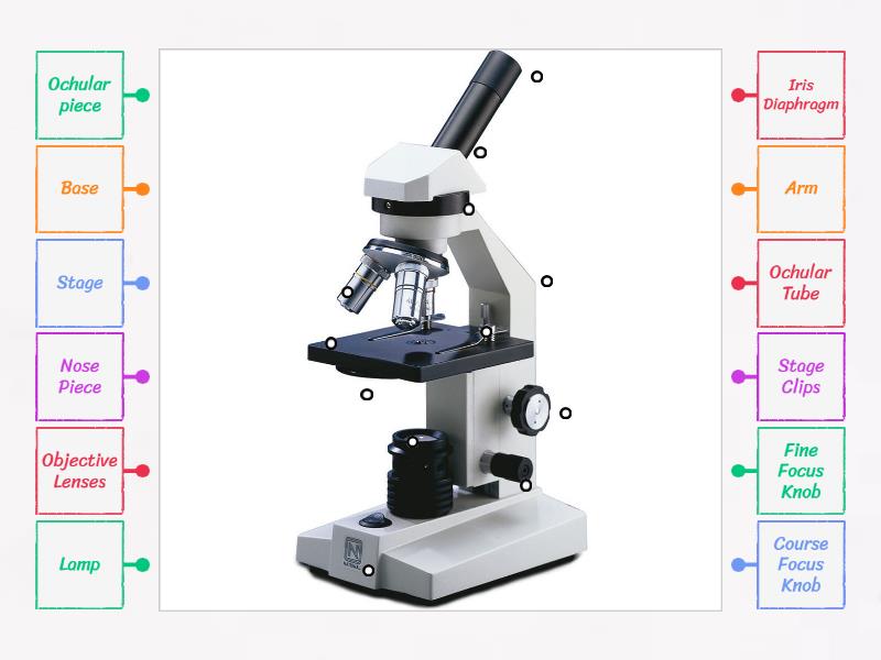 Microscope Parts - Labelled diagram