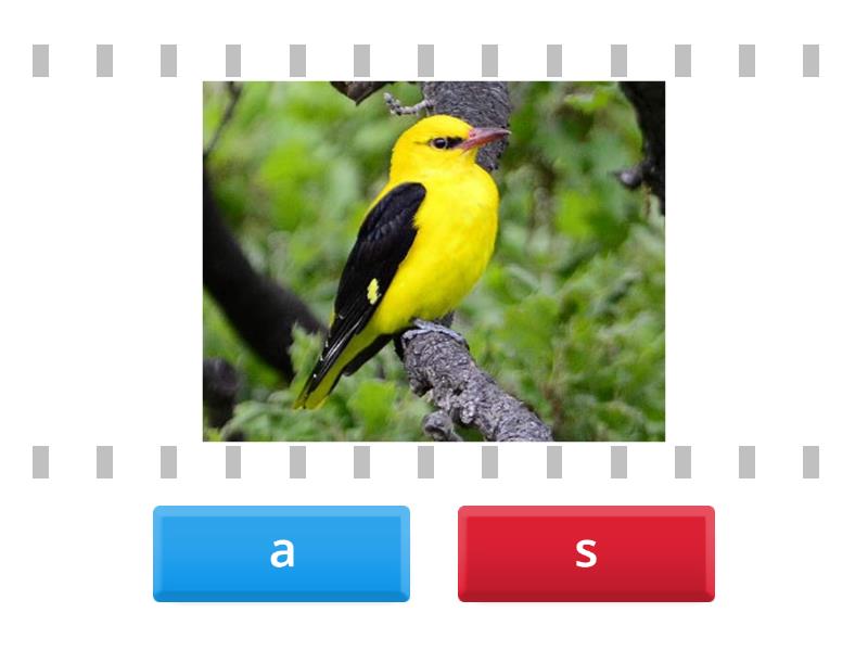 Ready to play - True or false