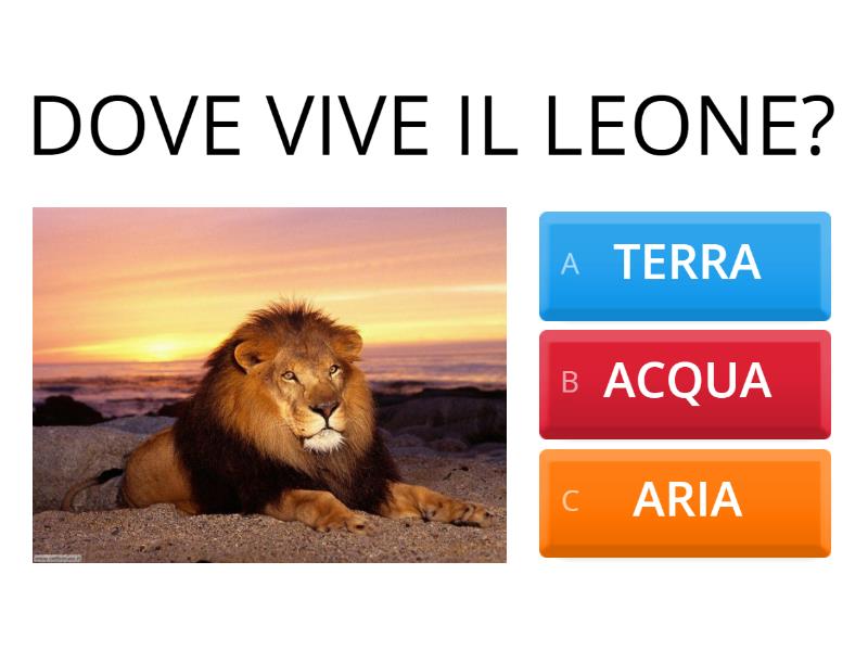 DOVE VIVONO GLI ANIMALI? - Quiz