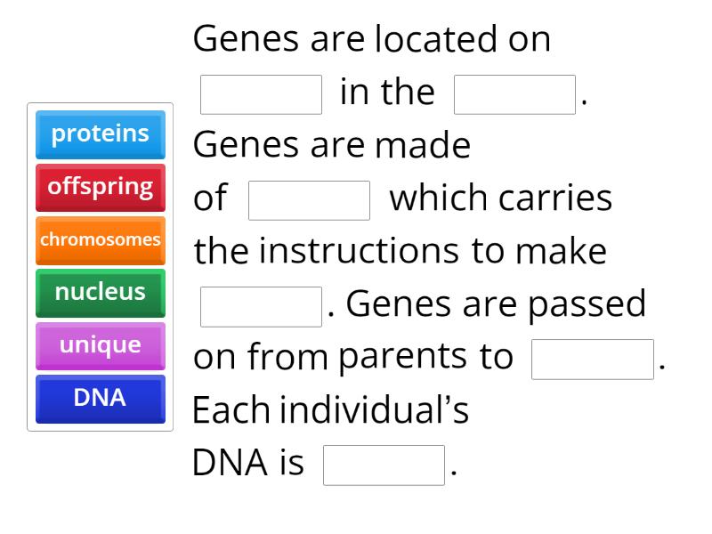 S3 BGE DNA, Genes & Chromosomes Missing Word - Complete the sentence