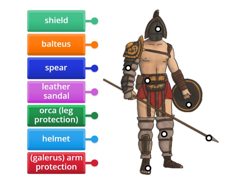 Roman gladiator - Labelled diagram