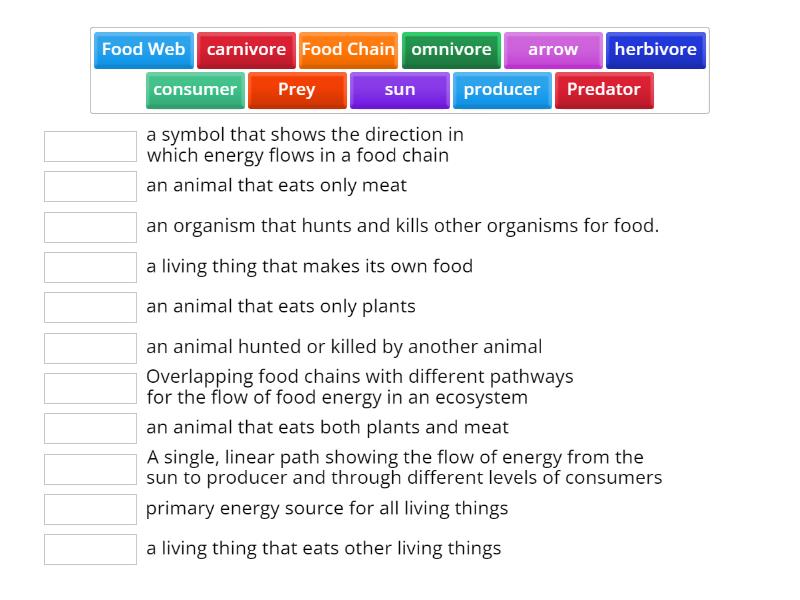 Food Chain/ Web Vocabulary - Match up