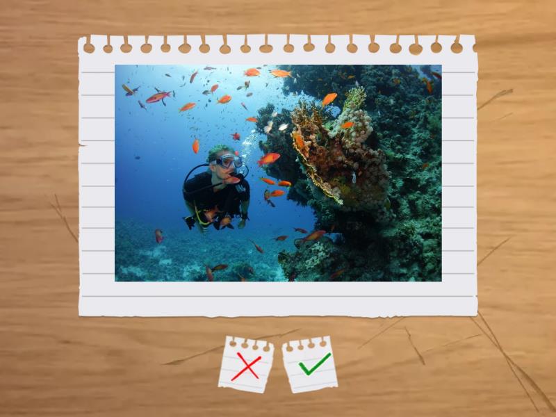 diving - Flash cards