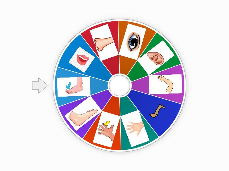 BODY PARTS - Spin the wheel