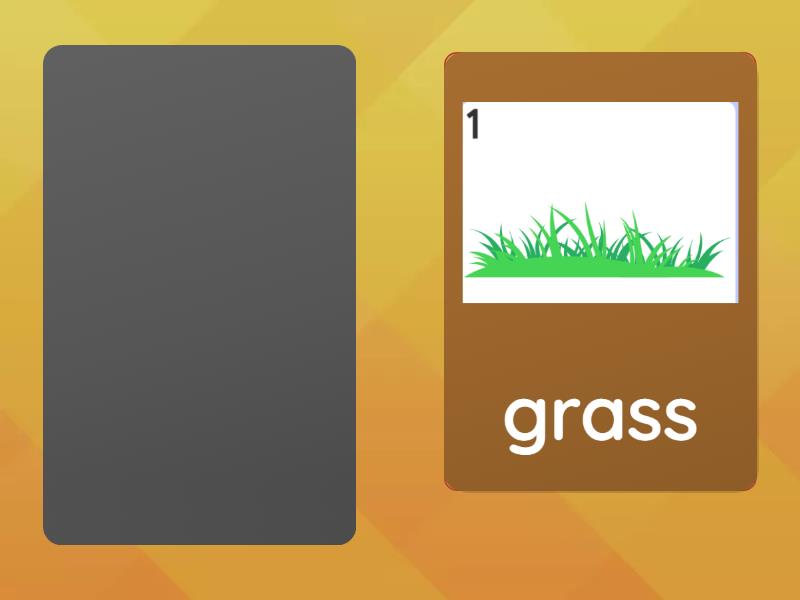 Lesson 47 -1 - Cartas al azar