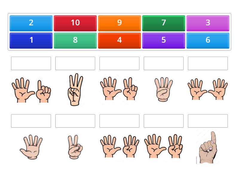 ¡A contar! - Match up