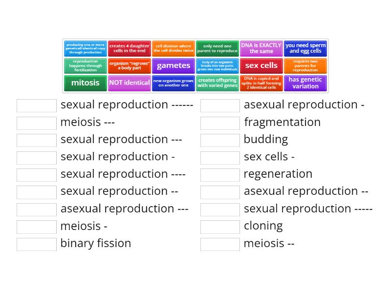 Asexual/Sexual Reproduction L.8.2A - Match up