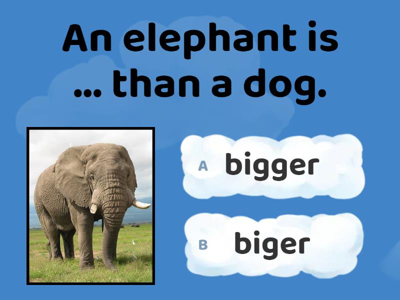 iw3 unit 5 revision - Quiz