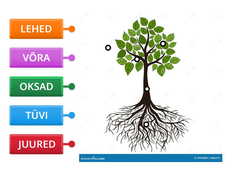 PUU OSAD - Labelled diagram