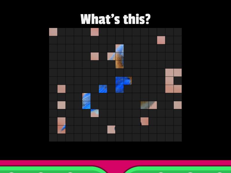 Ff Starter unit 6 - Image quiz