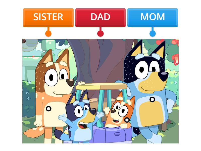 Bluey´s Family - Labelled diagram