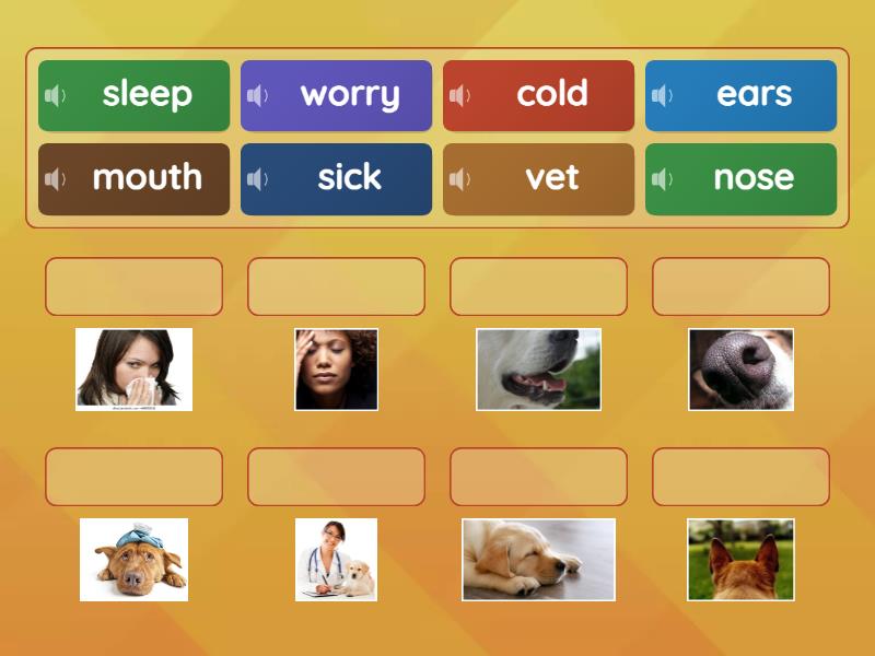 Easy Link 2 (Chapter 3) Lesson 10 [Vocabulary] - Match up