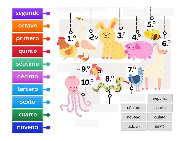 fila india de animales - Números ordinales - Diagrama con etiquetas