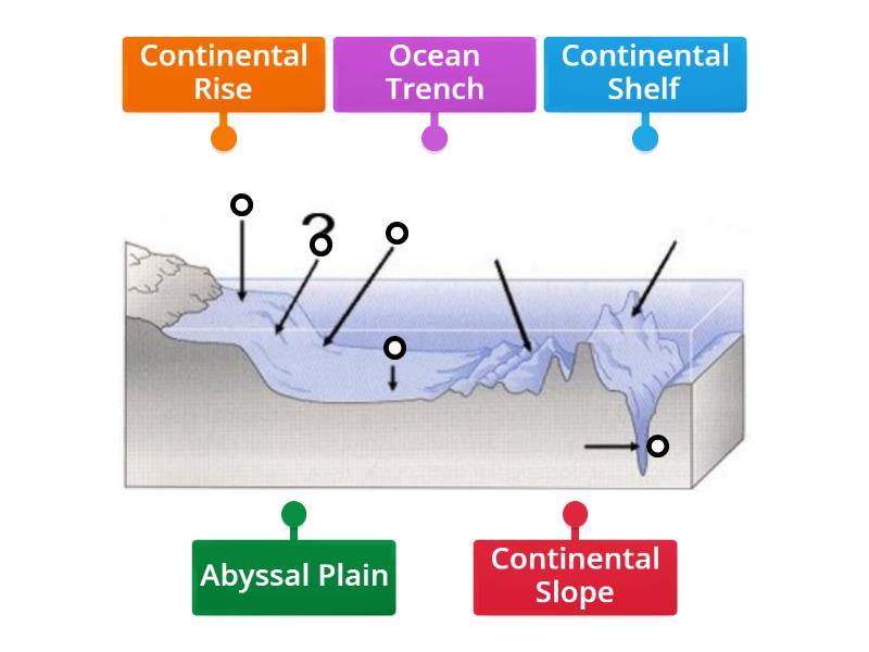 Ocean Floor Features - Labelled diagram