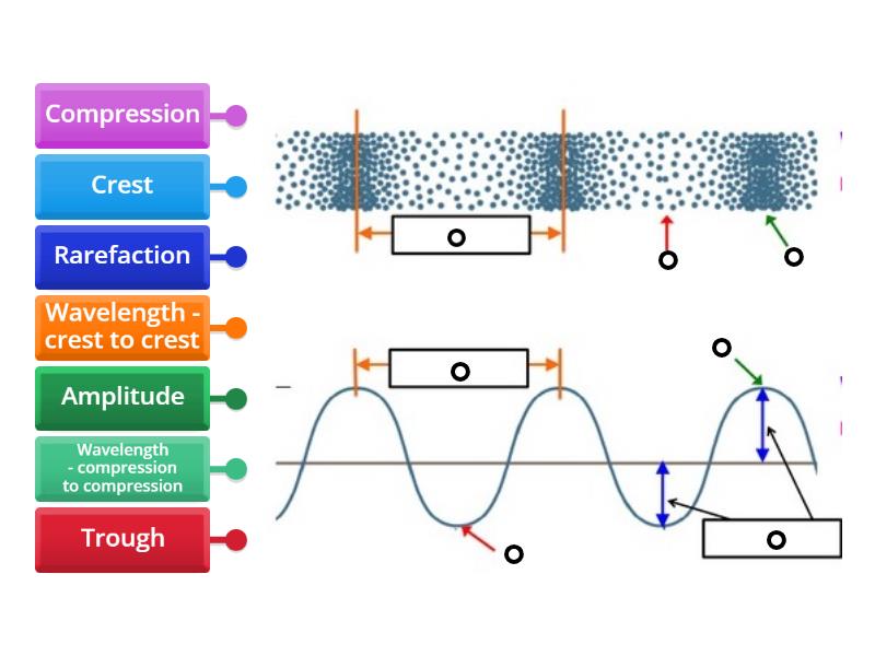Longitudinal waves and waveform - Labelled diagram