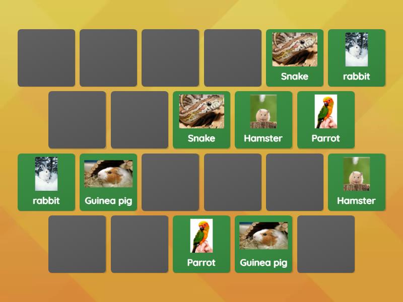 Pets - memory cards - Parejas