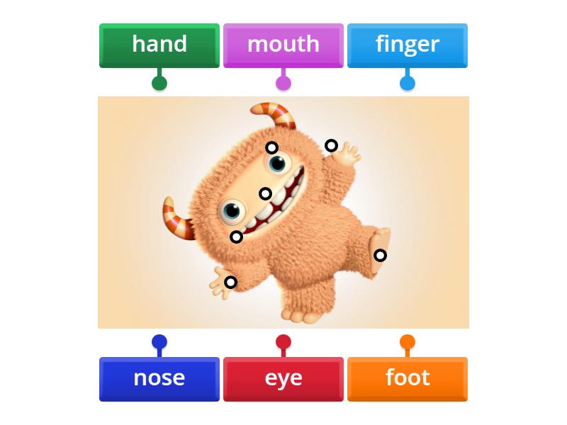 monster's body parts - Labelled diagram