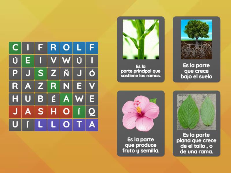partes de las plantas - Sopa de letras