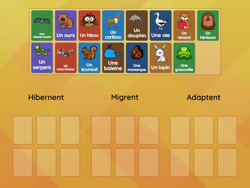 Hibernation, Migration, Adaptation - Group sort