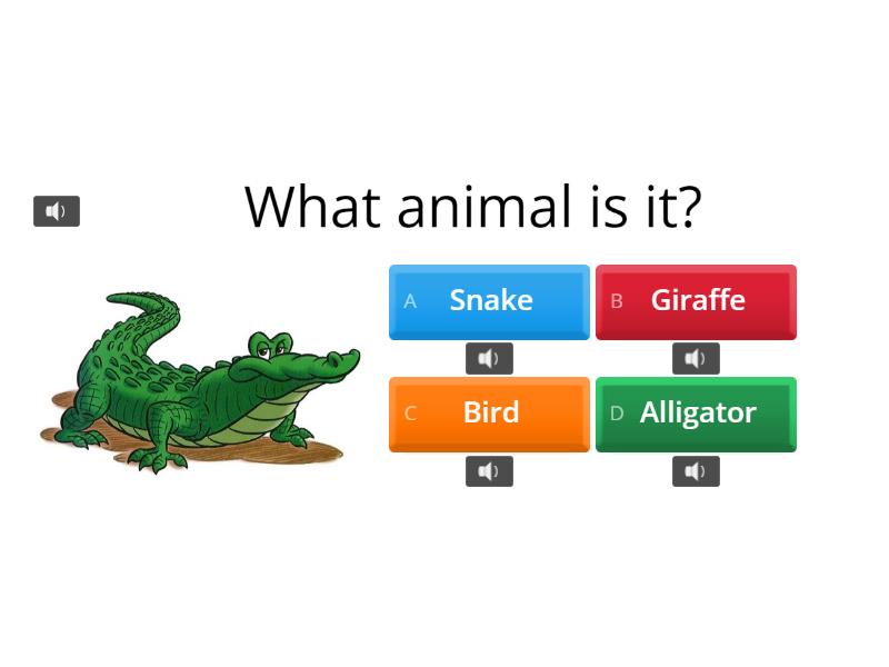 Vocab- Animal Plays 2 - Quiz