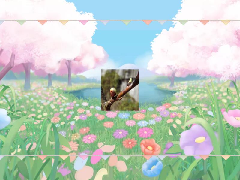 Spring - - Watch and memorize