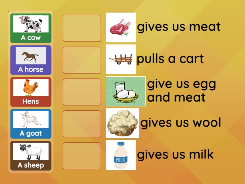 Class 1 Chapter 2 name: Animals - Match up