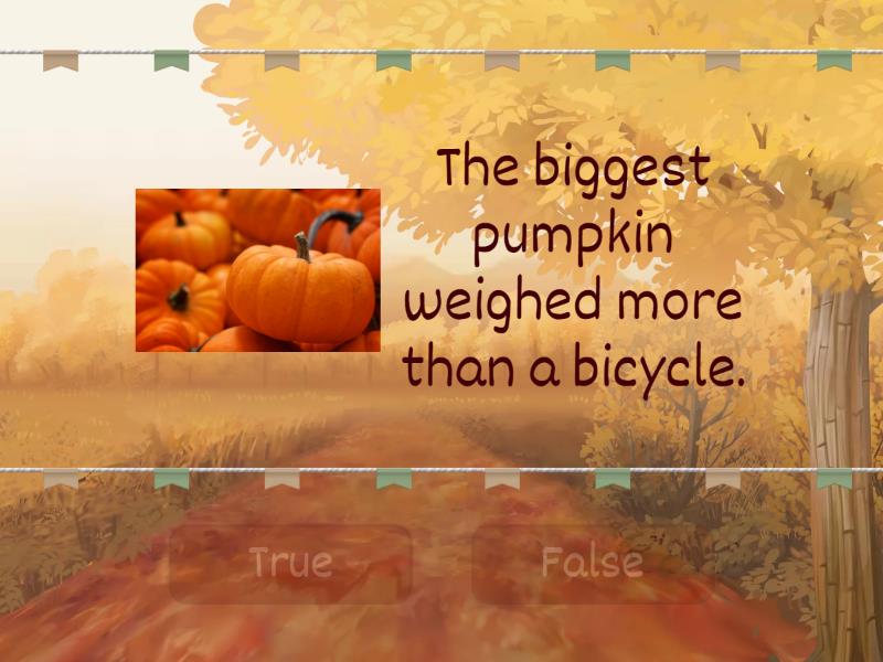 Pumpkin Facts - True or false