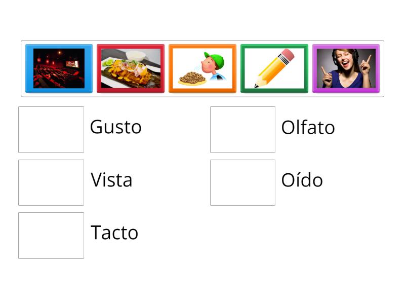 Escoge el sentido correcto - Match up