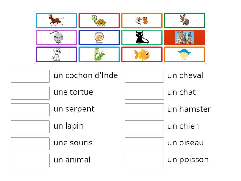 F3 French Les animaux - Match up
