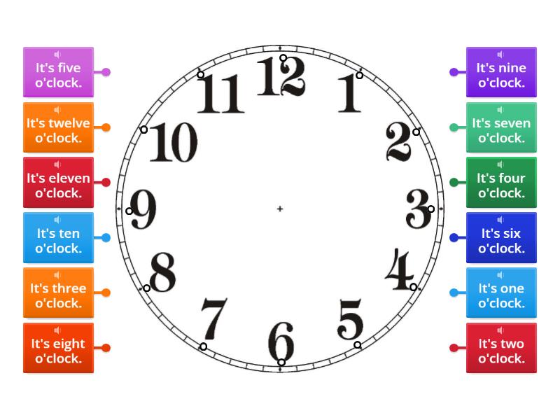 O Clock Labelled Diagram