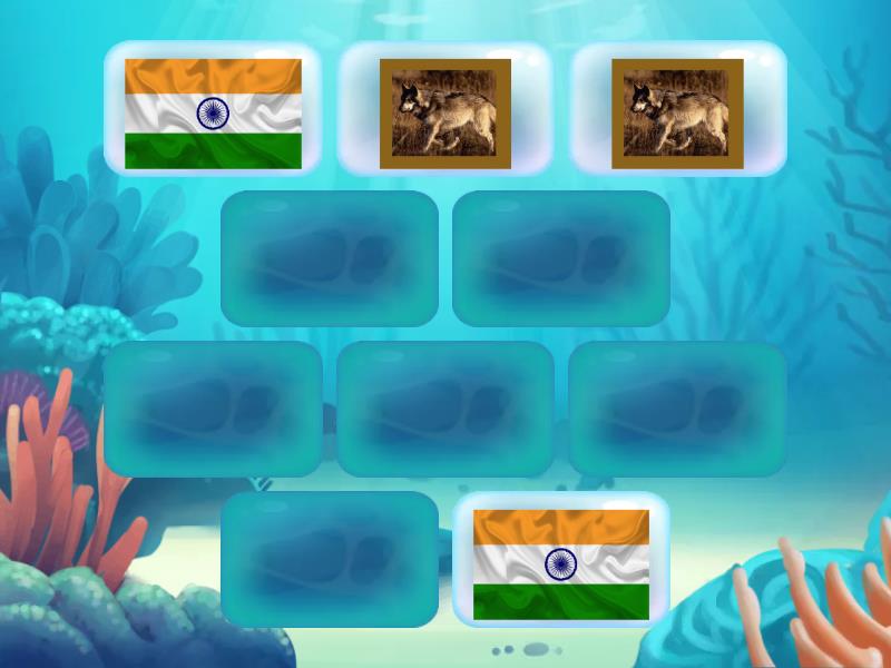 Wild Animals Unit - Matching pairs